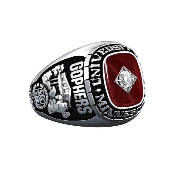 University of Minnesota Minneapolis, MN - Medium Square Curriculum II ...